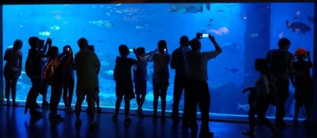 Visita al Acuario de Sevilla - Inicio